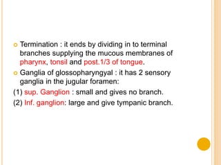 Cranial nerves | PPT