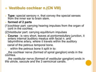Cranial nerves | PPTX