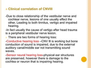 Cranial nerves | PPT
