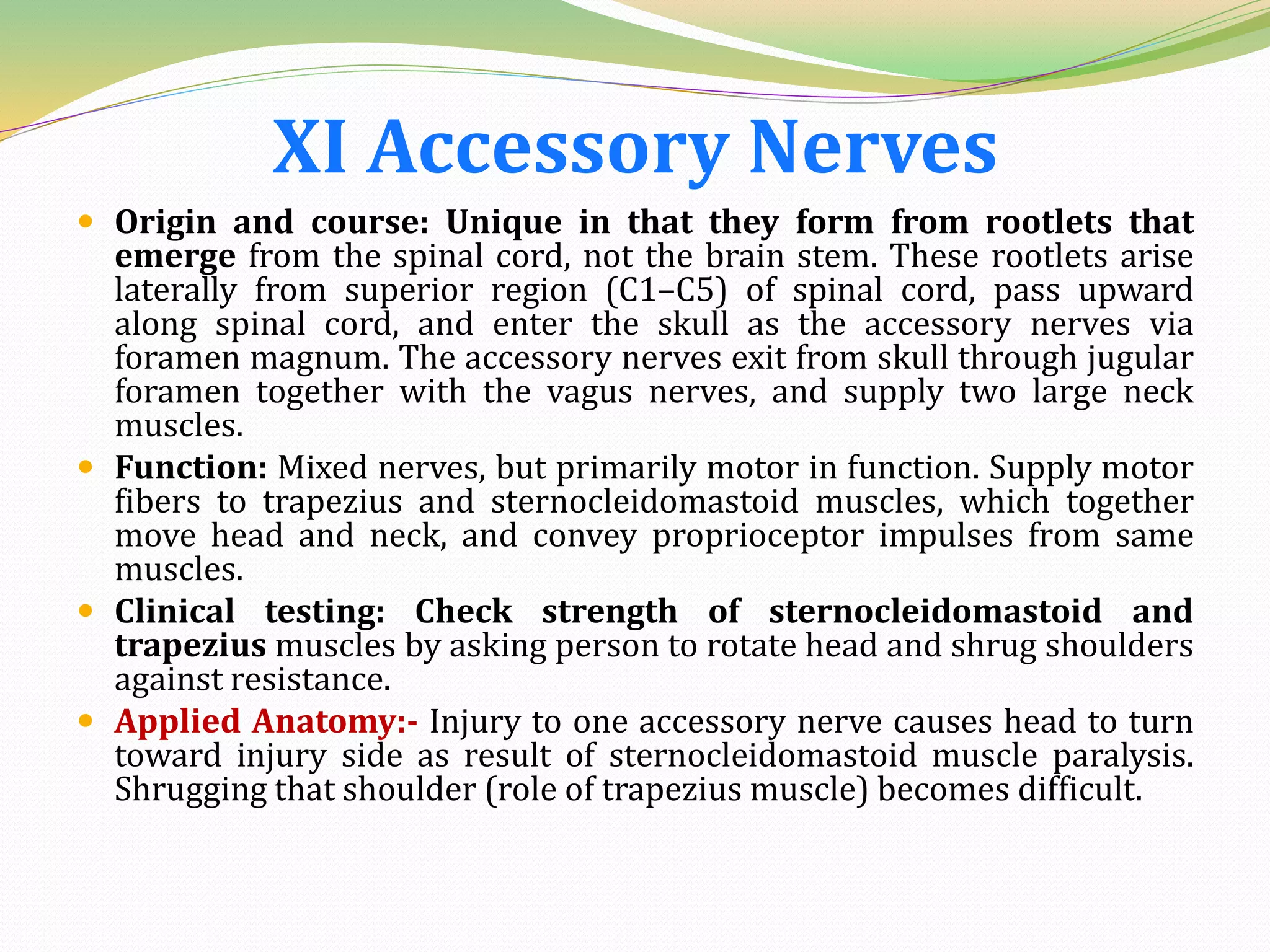 Cranial nerves | PPSX