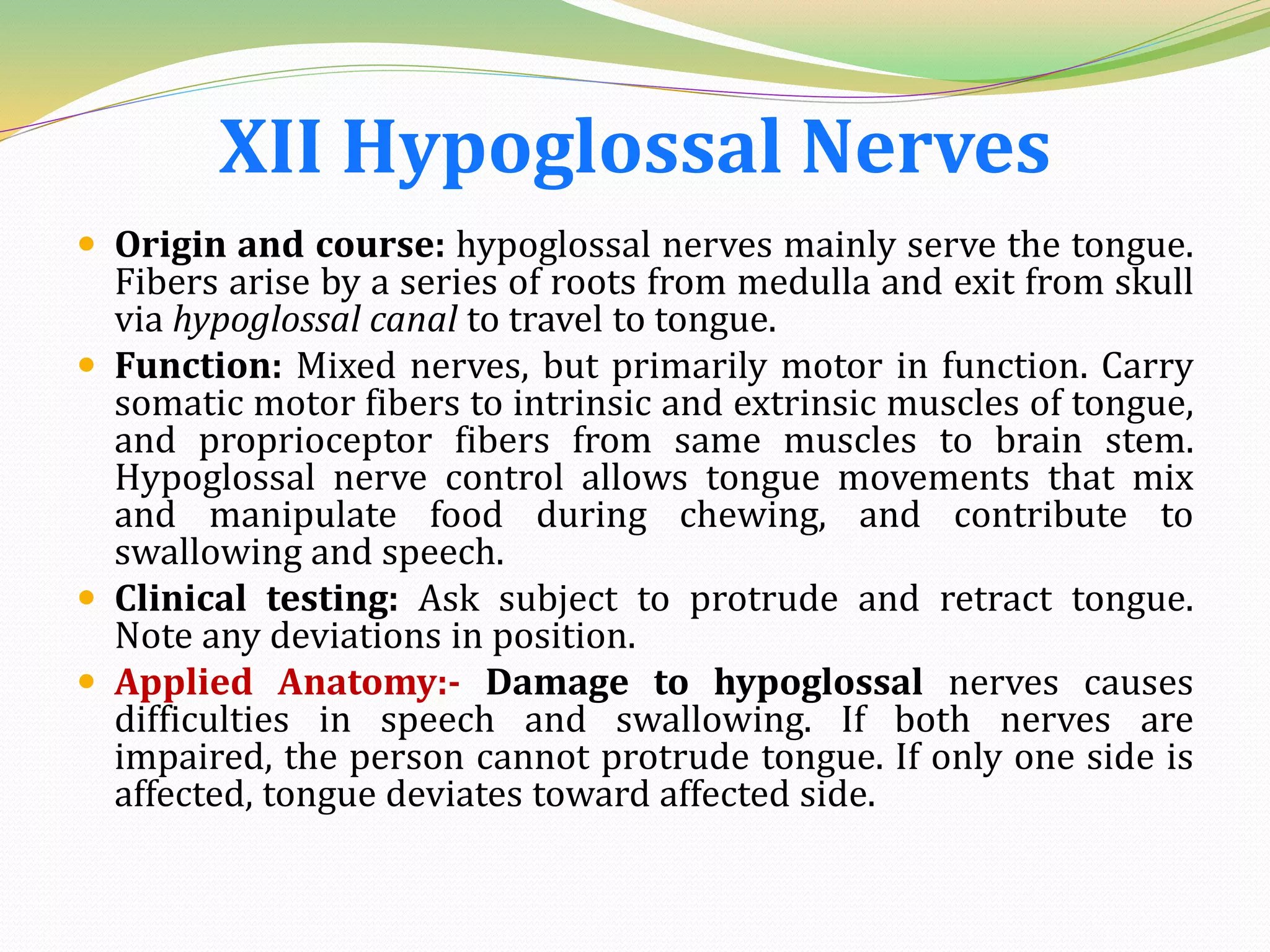 Cranial nerves | PPSX