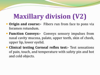 Cranial nerves | PPSX