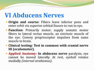 Cranial nerves | PPSX