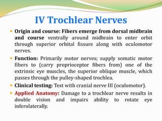 Trochlear Nerve Function Test