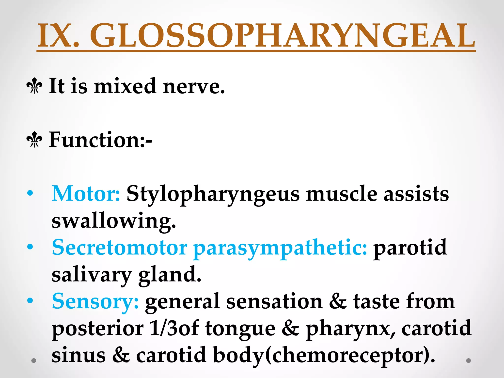 Cranial nerves | PPTX