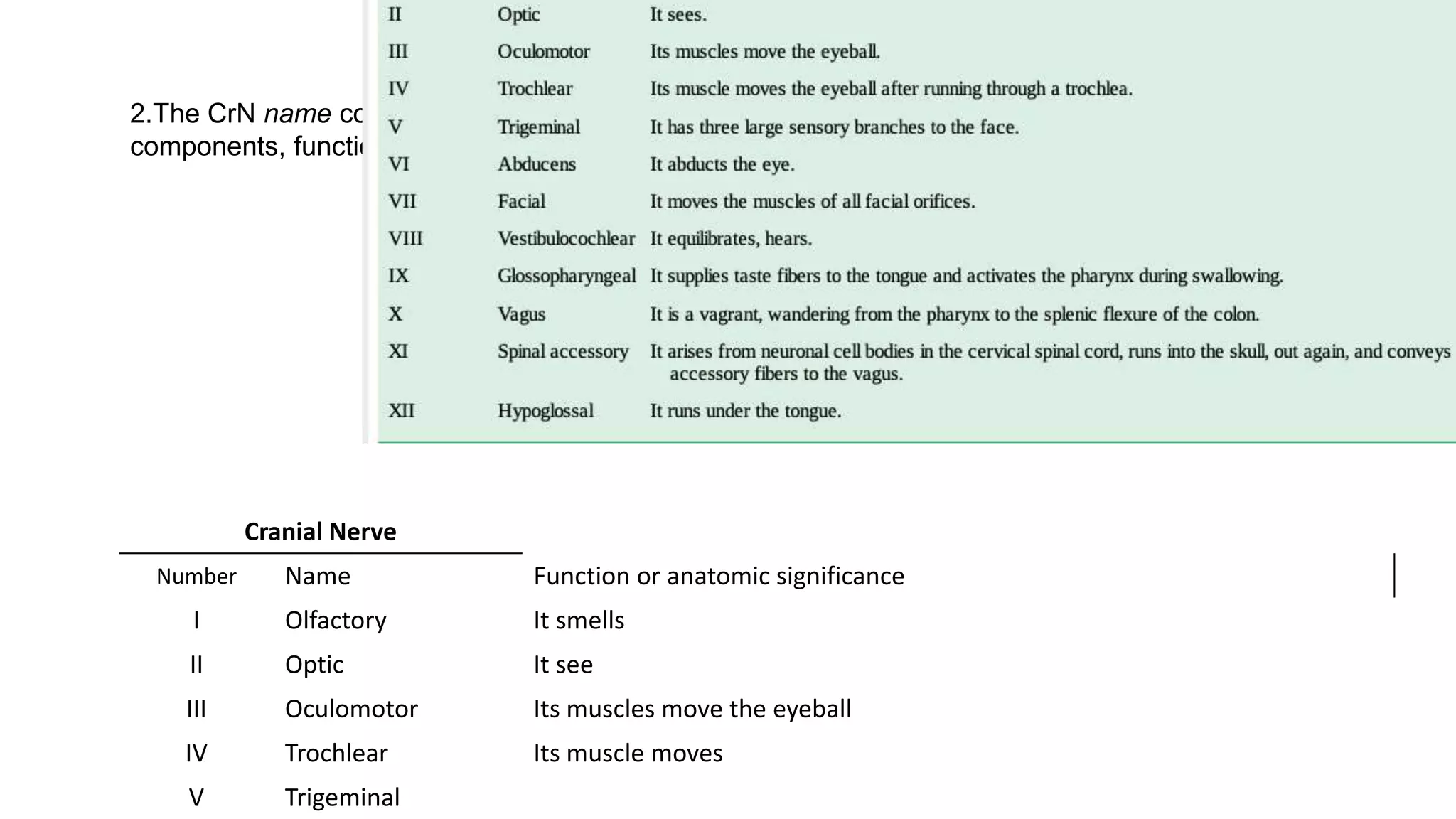 Cranial Nerves.pptx
