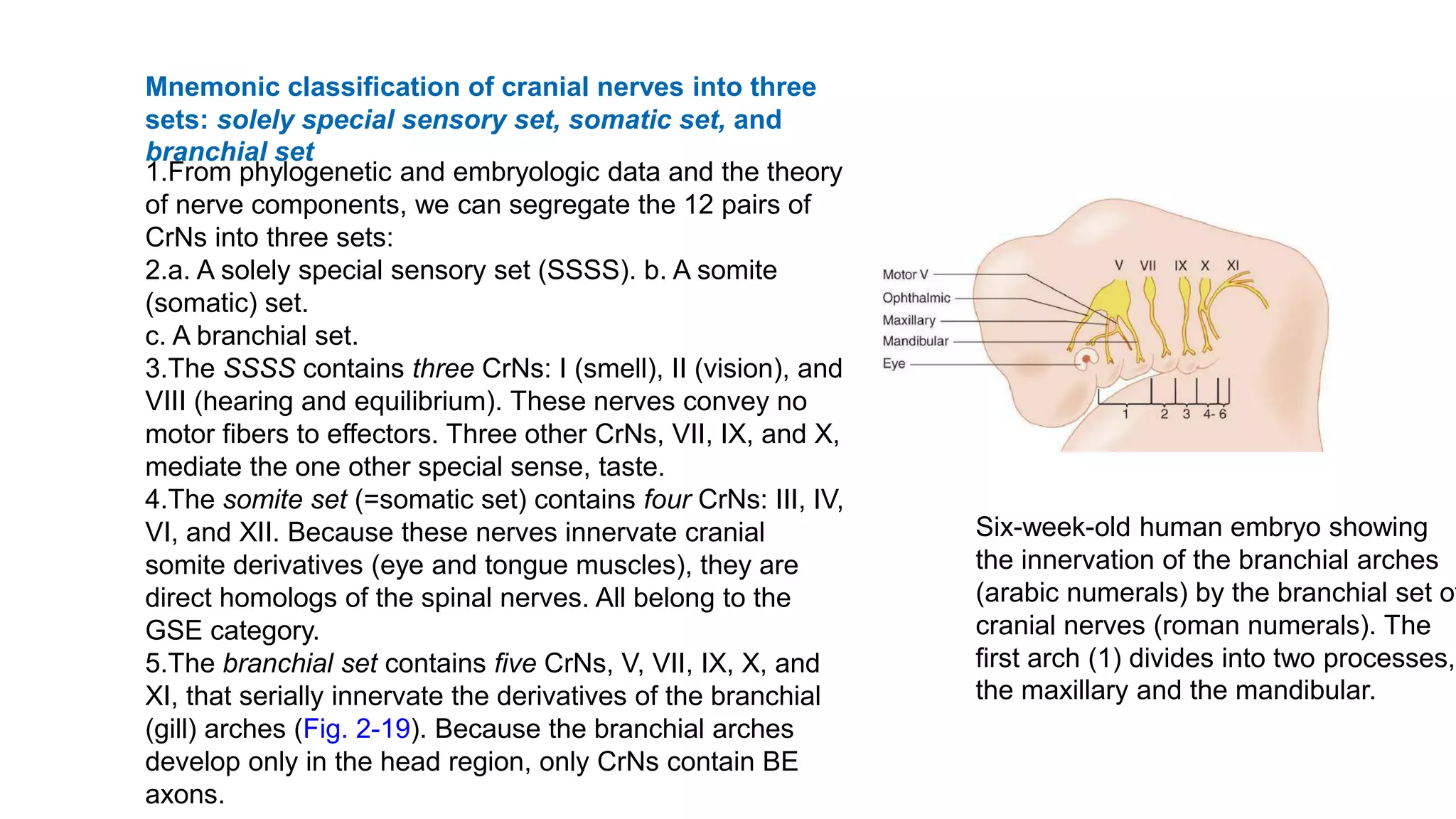 Cranial Nerves.pptx