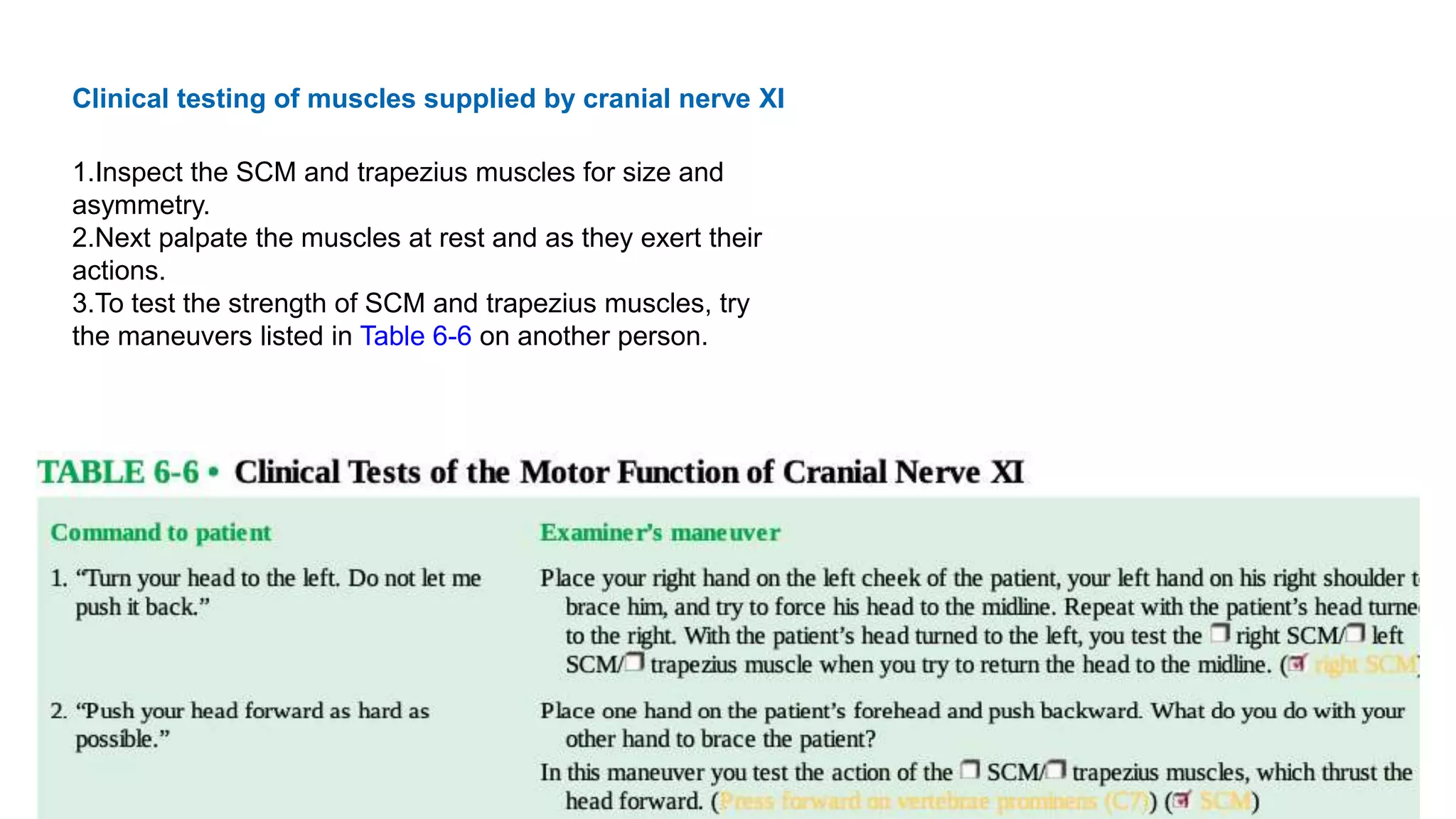 Cranial Nerves.pptx