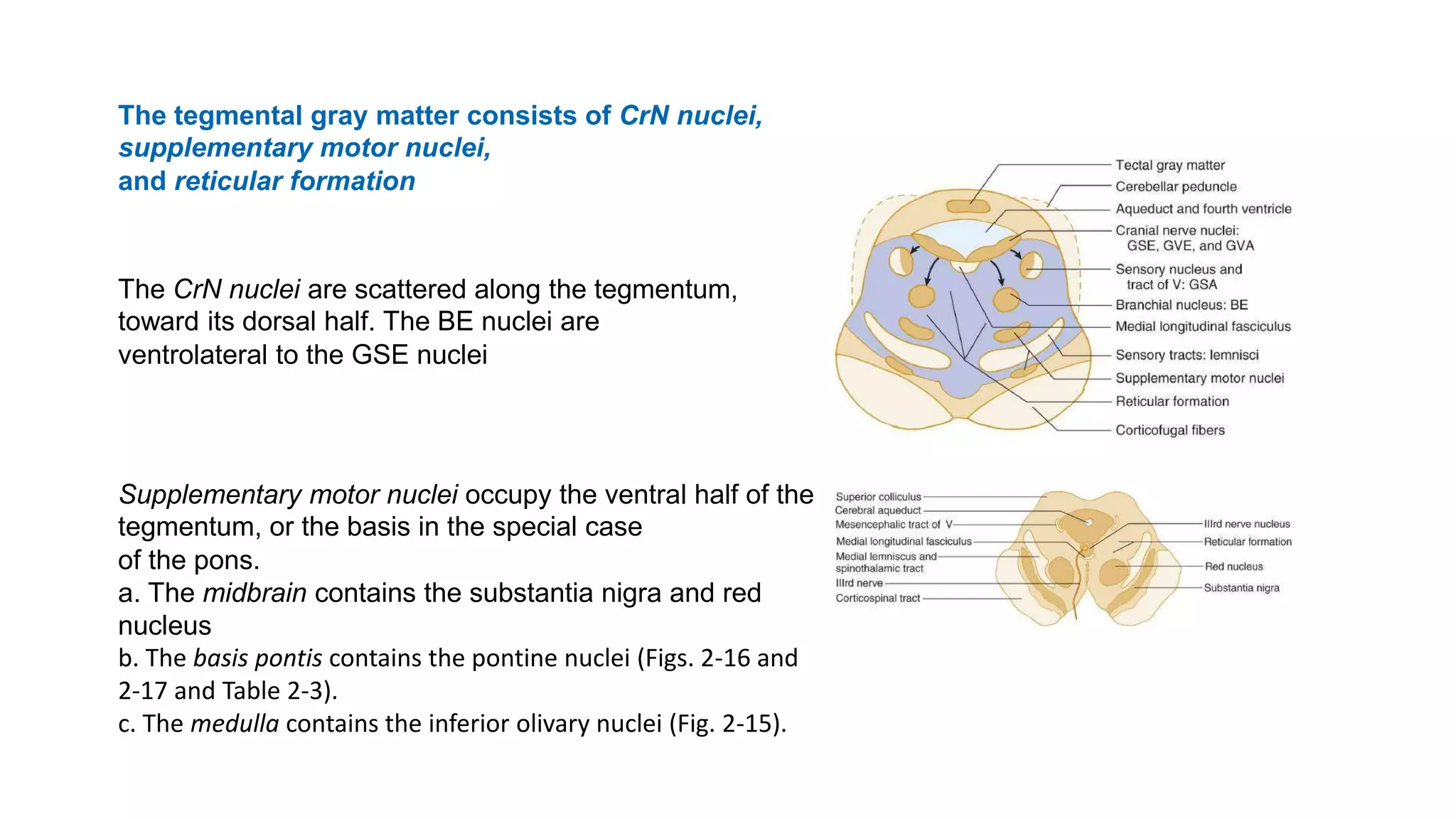 Cranial Nerves.pptx