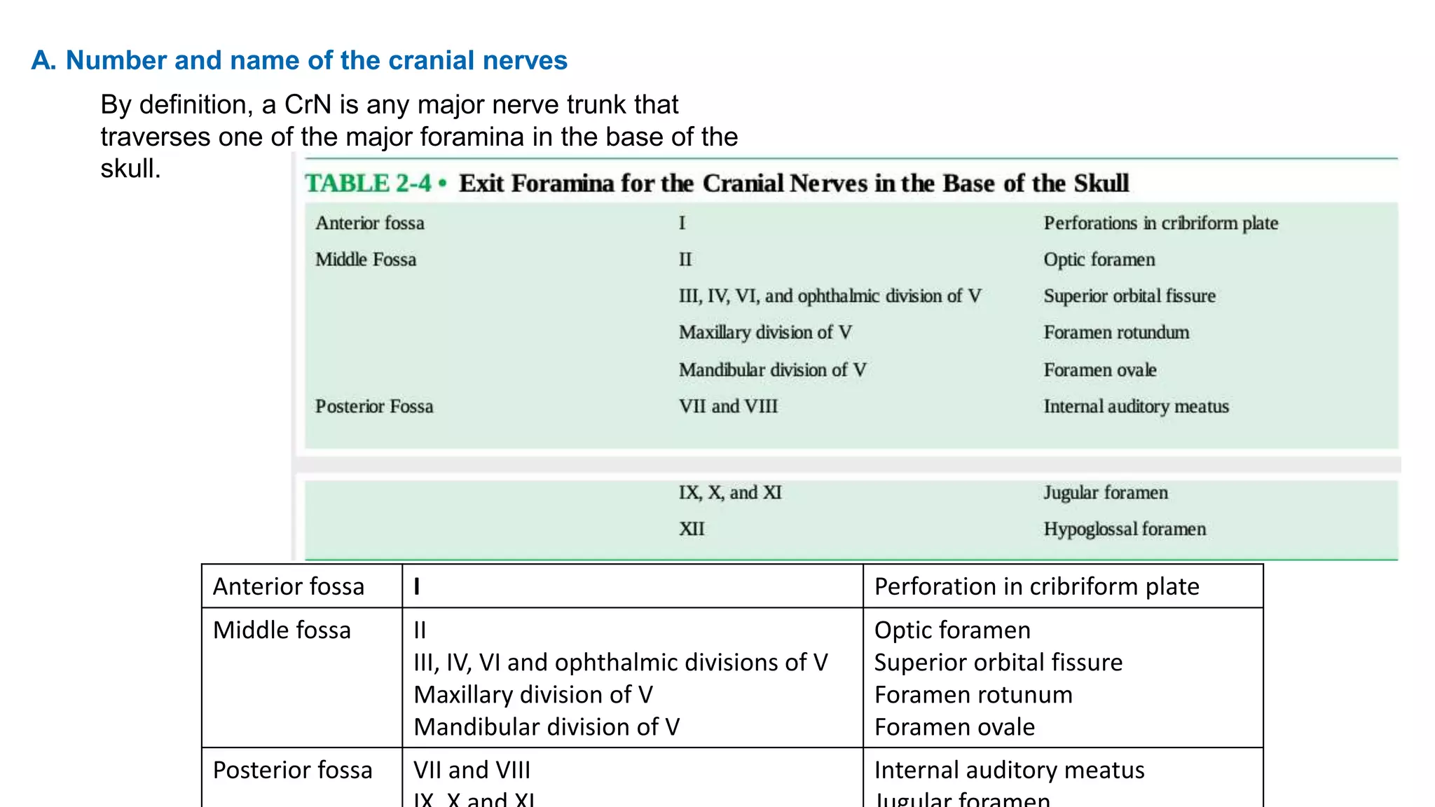 Cranial Nerves.pptx