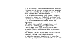 Cranial Nerves.pptx