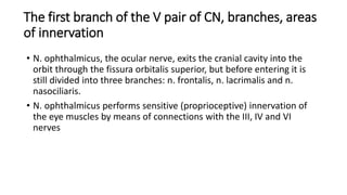 cranial nerves.pptx | Ear, Nose and Throat Conditions | Diseases and ...
