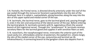 cranial nerves.pptx | Ear, Nose and Throat Conditions | Diseases and ...