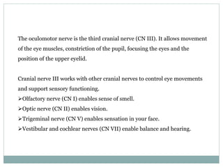 Cranial nerves.pptx | Brain and Nervous System Disorders | Diseases and Conditions