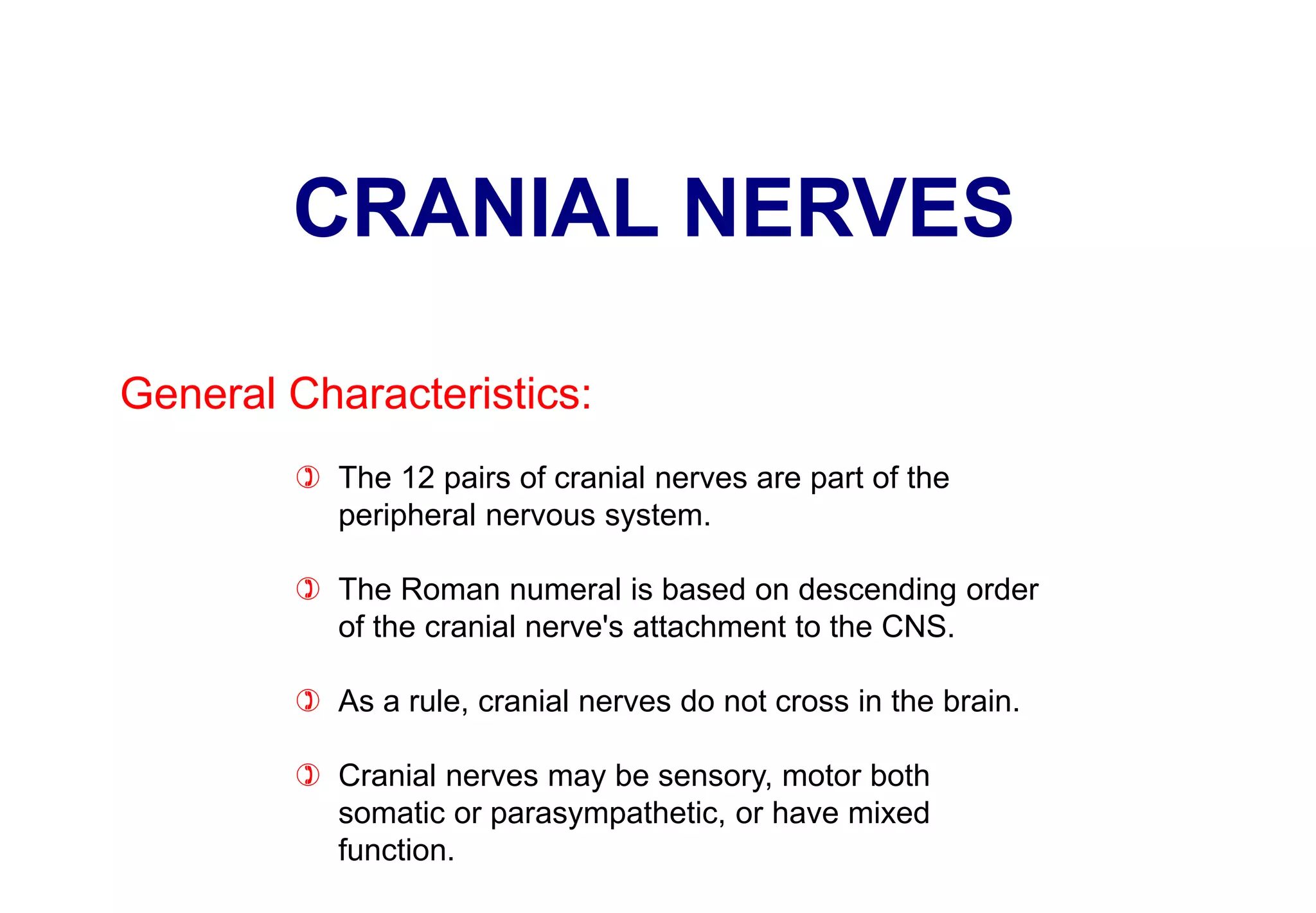 Cranial Nerves.ppt