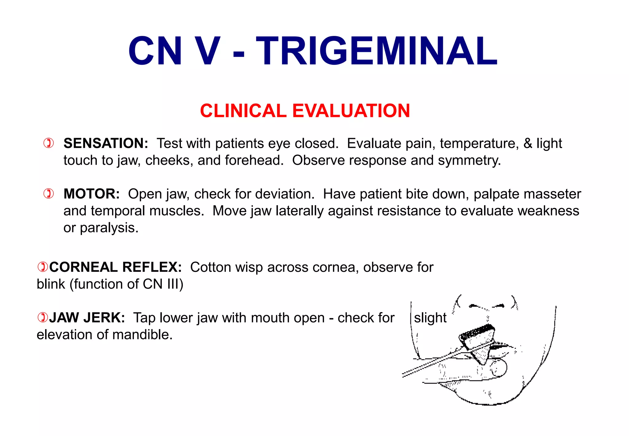 Cranial Nerves.ppt