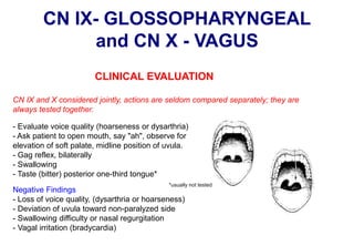 Cranial Nerves.ppt