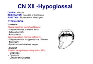 Cranial Nerves.ppt