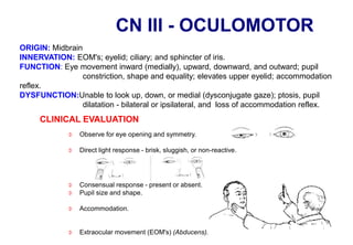 Cranial Nerves.ppt