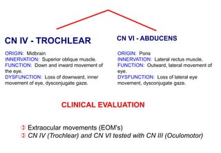 Cranial Nerves.ppt
