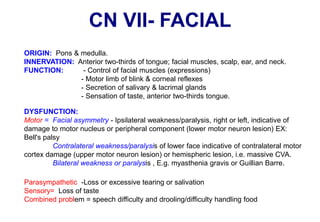 Cranial Nerves.ppt