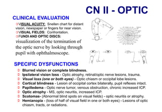 Cranial Nerves.ppt