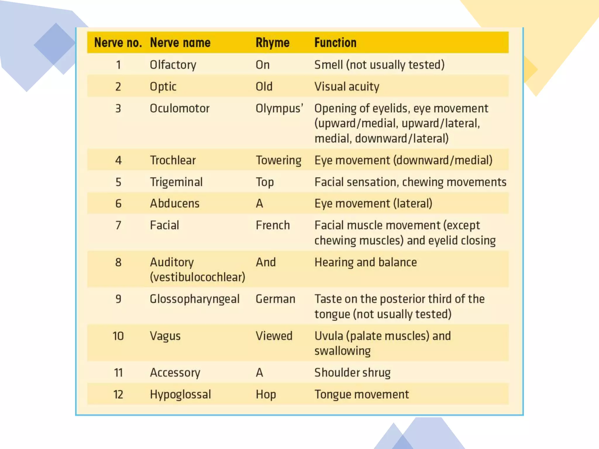Cranial Nerves | PPTX