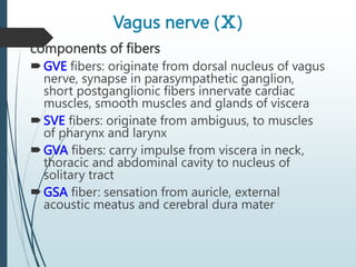 CRANIAL NERVES. | PPT