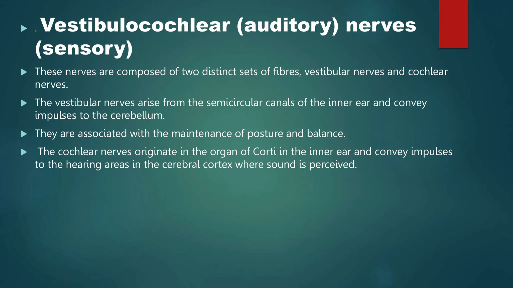 Cranial nerves \ CENTRAL NERVOUS SYSTEM.pptx