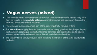 Cranial nerves \ CENTRAL NERVOUS SYSTEM.pptx