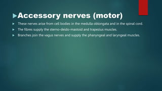 Cranial nerves \ CENTRAL NERVOUS SYSTEM.pptx