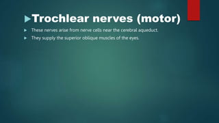 Cranial nerves \ CENTRAL NERVOUS SYSTEM.pptx