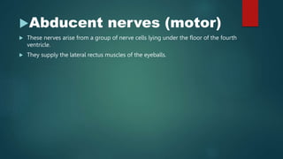 Cranial nerves \ CENTRAL NERVOUS SYSTEM.pptx