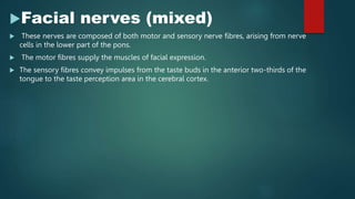 Cranial nerves \ CENTRAL NERVOUS SYSTEM.pptx