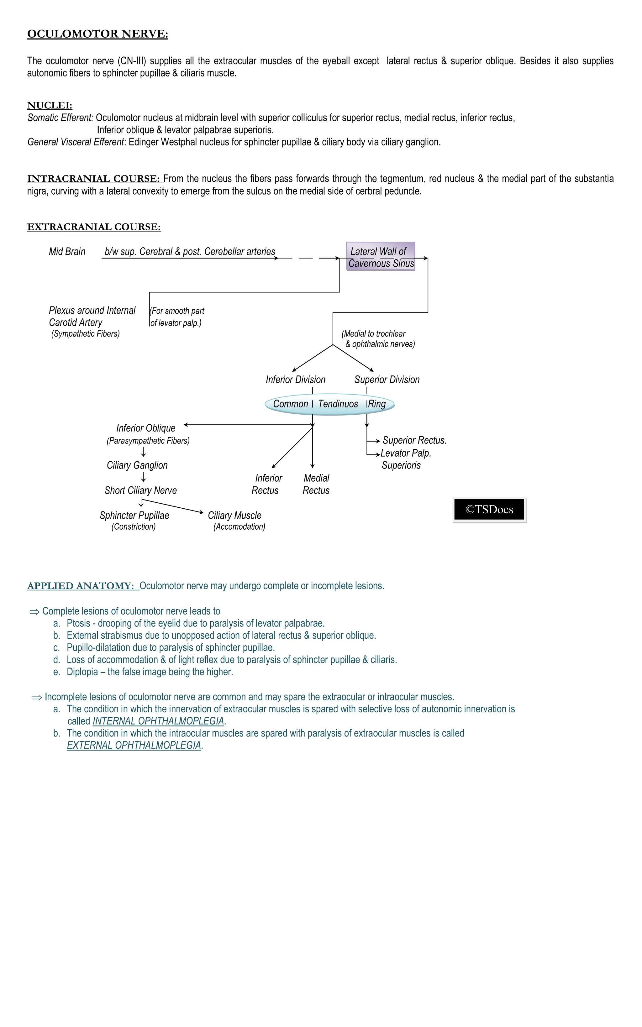 Cranial Nerves - Origin, Course and Innervation | PDF