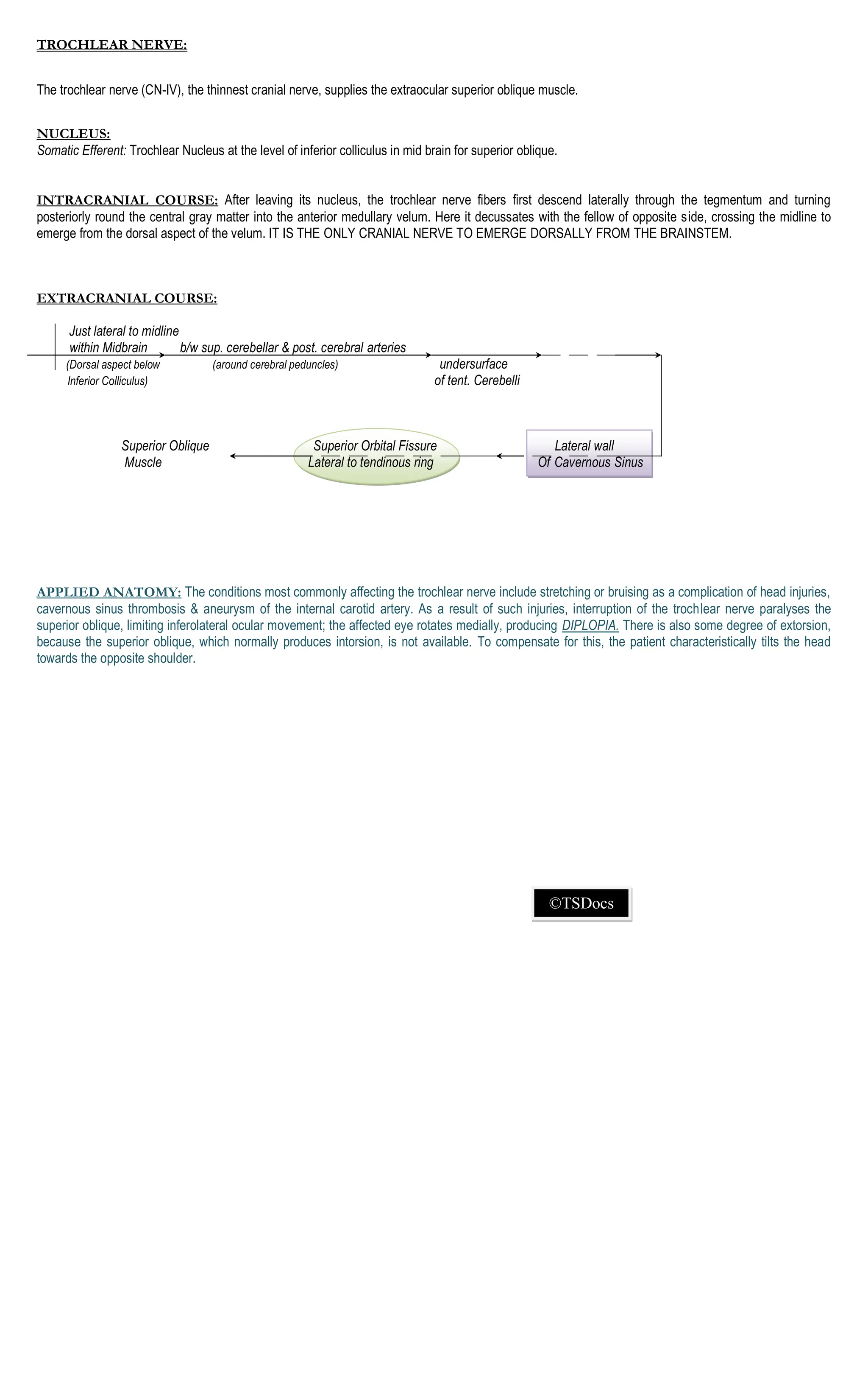 Cranial Nerves - Origin, Course and Innervation | PDF