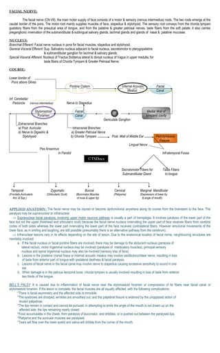 Cranial Nerves - Origin, Course and Innervation | PDF