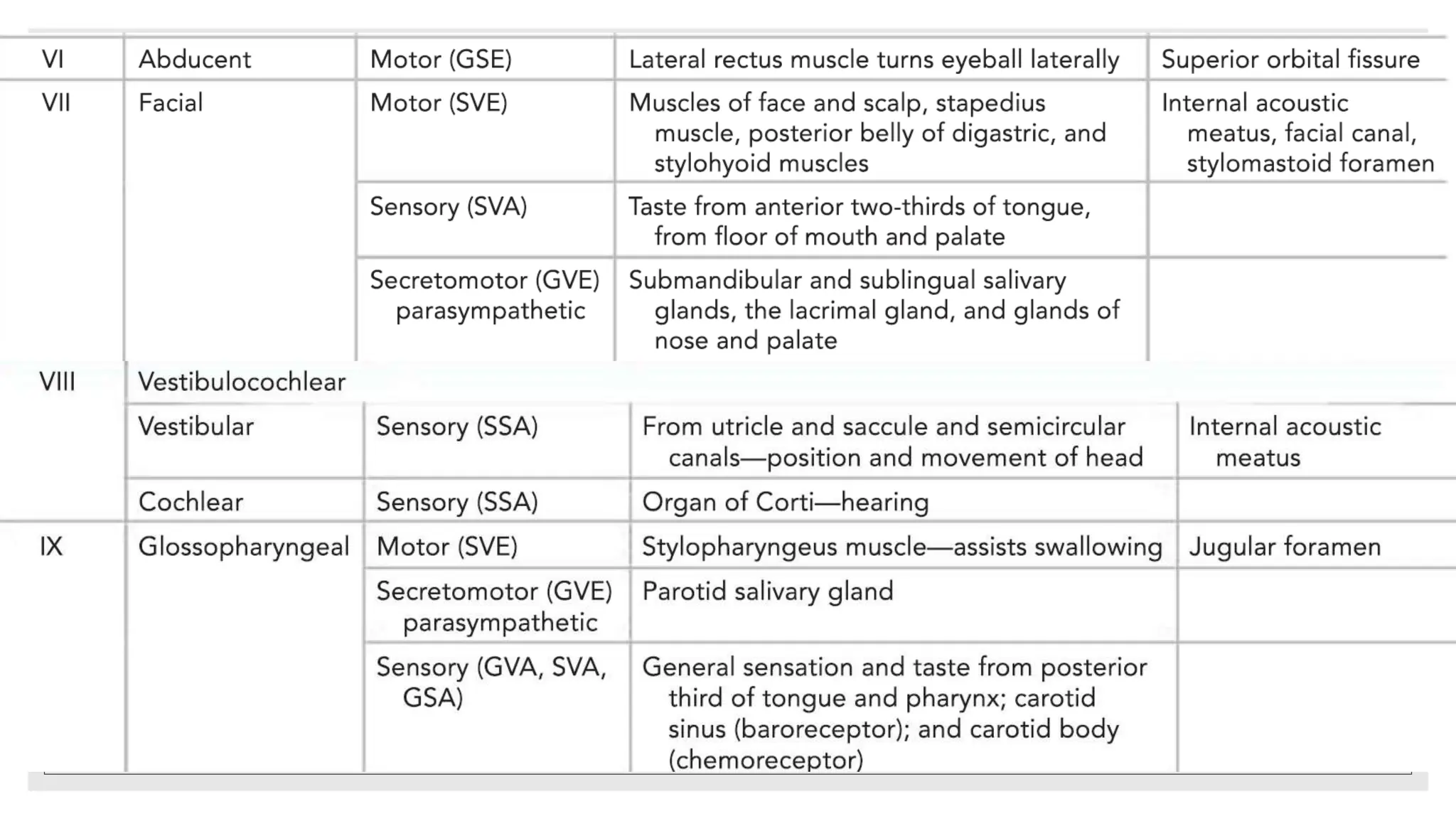 cranial nerves neuro anatomy and clinical correlations | PPTX