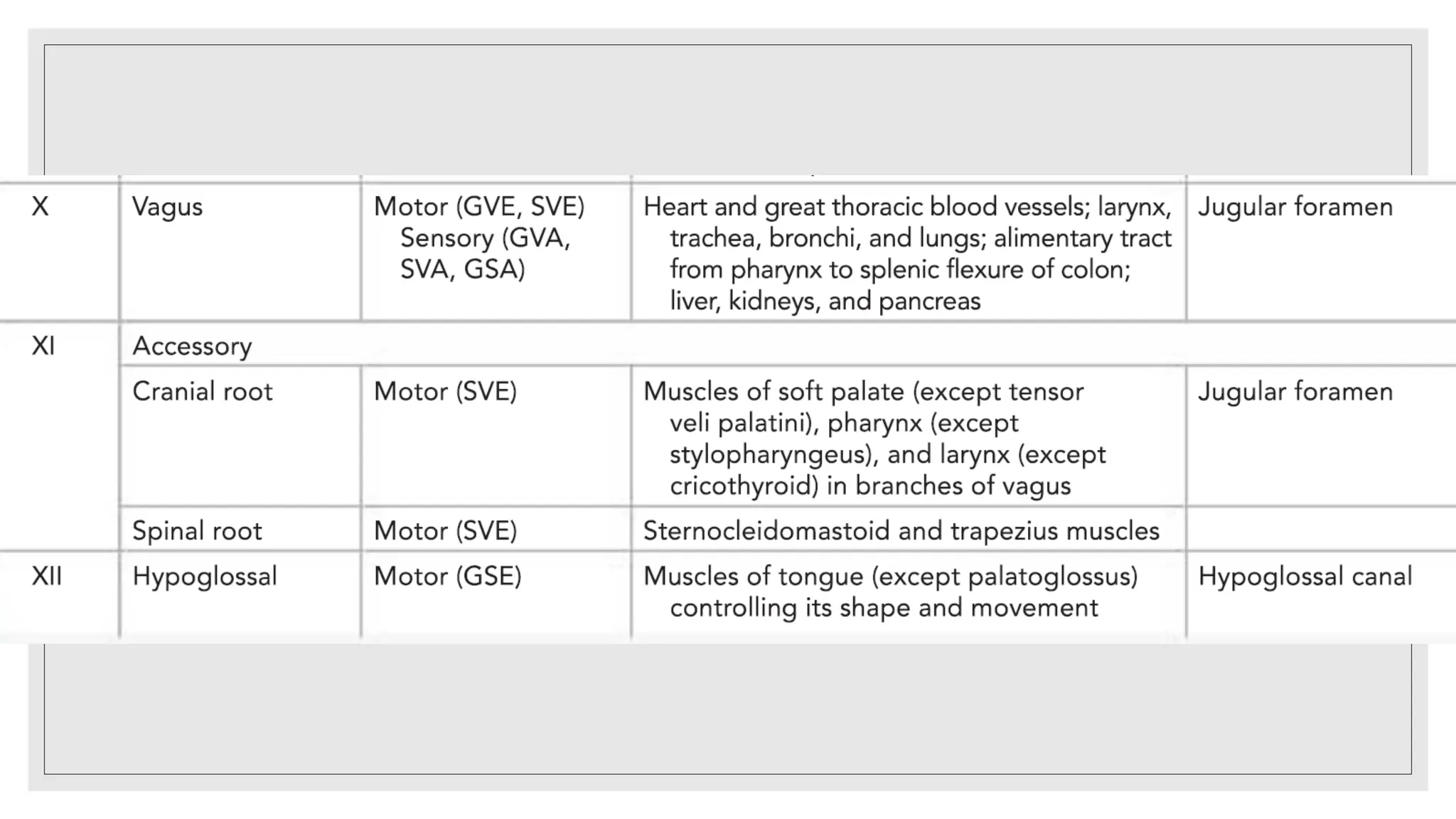 cranial nerves neuro anatomy and clinical correlations | PPTX