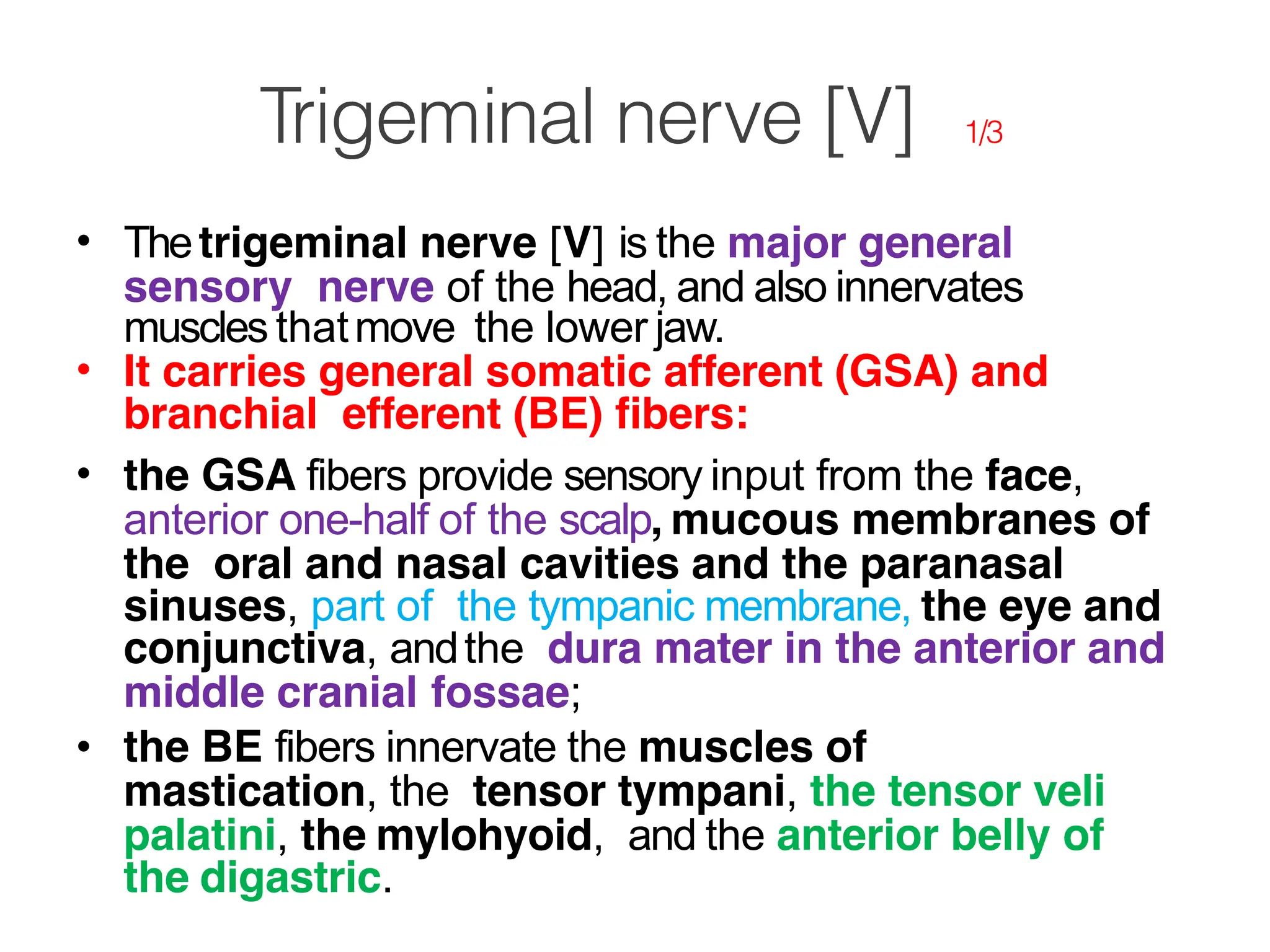 cranial nerves - medicine 12345678911223 | PDF