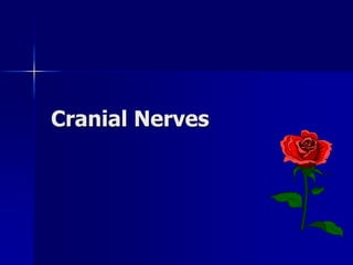 cranial nerves.ppt anatomy and physiology | PPT