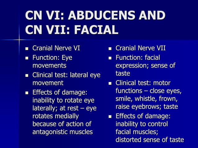 cranial nerves.ppt anatomy and physiology | PPT