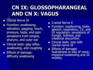 cranial nerves.ppt anatomy and physiology | PPT