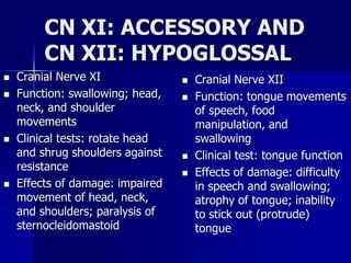cranial nerves.ppt anatomy and physiology | PPT