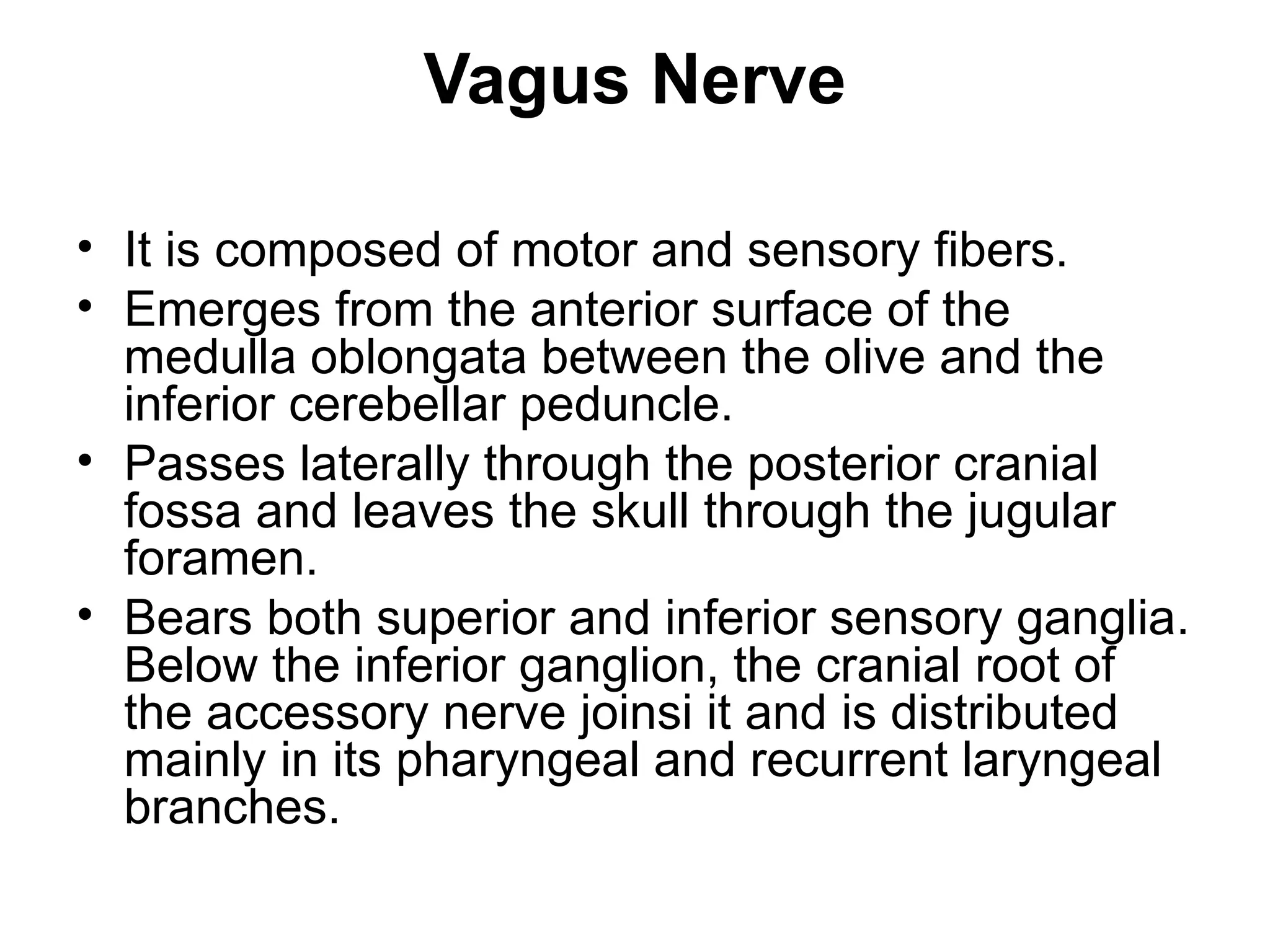 Cranial Nerves.ppt,,,,,,,,,,,,,,,,,,,,,,,,,,,,,,,,,,,,,,, | PPT