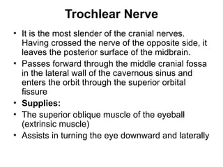 Cranial Nerves.ppt,,,,,,,,,,,,,,,,,,,,,,,,,,,,,,,,,,,,,,, | PPT