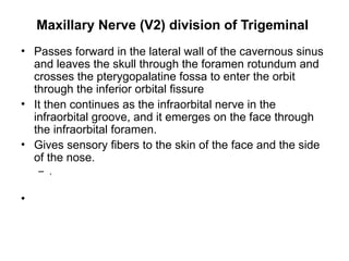 Cranial Nerves.ppt,,,,,,,,,,,,,,,,,,,,,,,,,,,,,,,,,,,,,,, | PPT