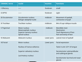 CRANIAL NERVES.pptx medical professional | PPTX
