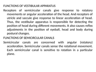 Comprehensive Overview of Cranial Nerves and Vestibular Apparatus ...