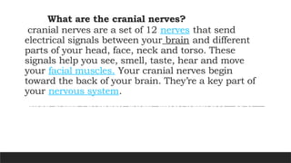 Comprehensive Overview of the 12 Cranial Nerves and Their Functions | PPTX